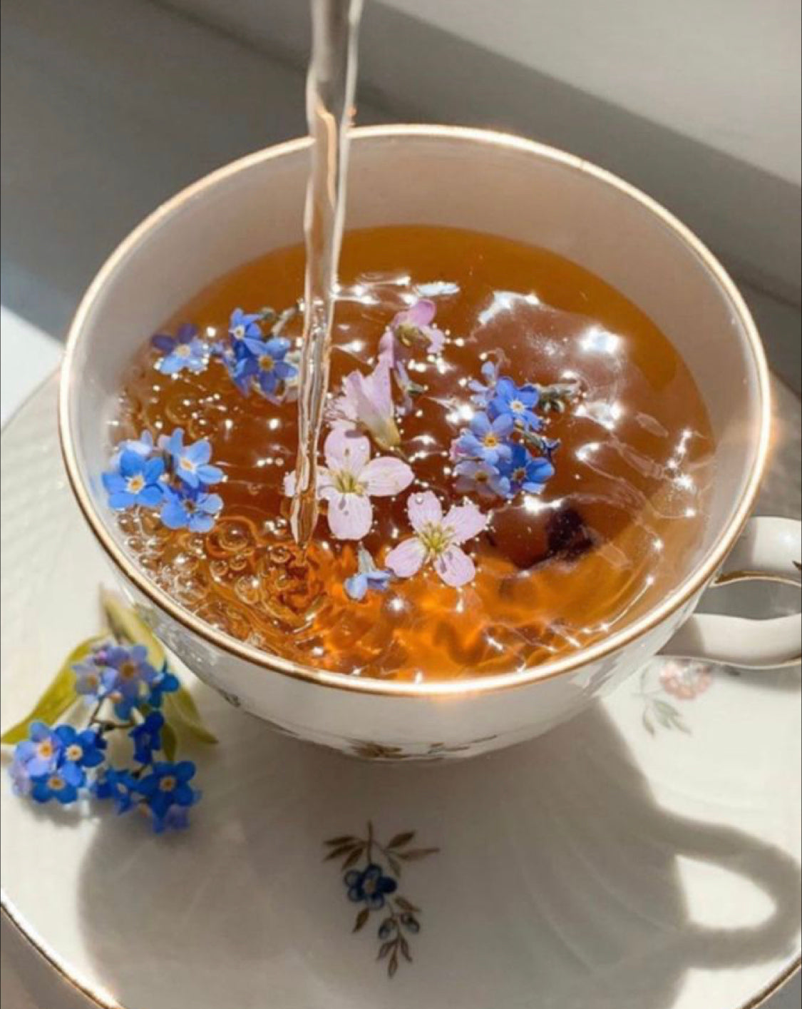 Postpartum Tea – Auset Herbals